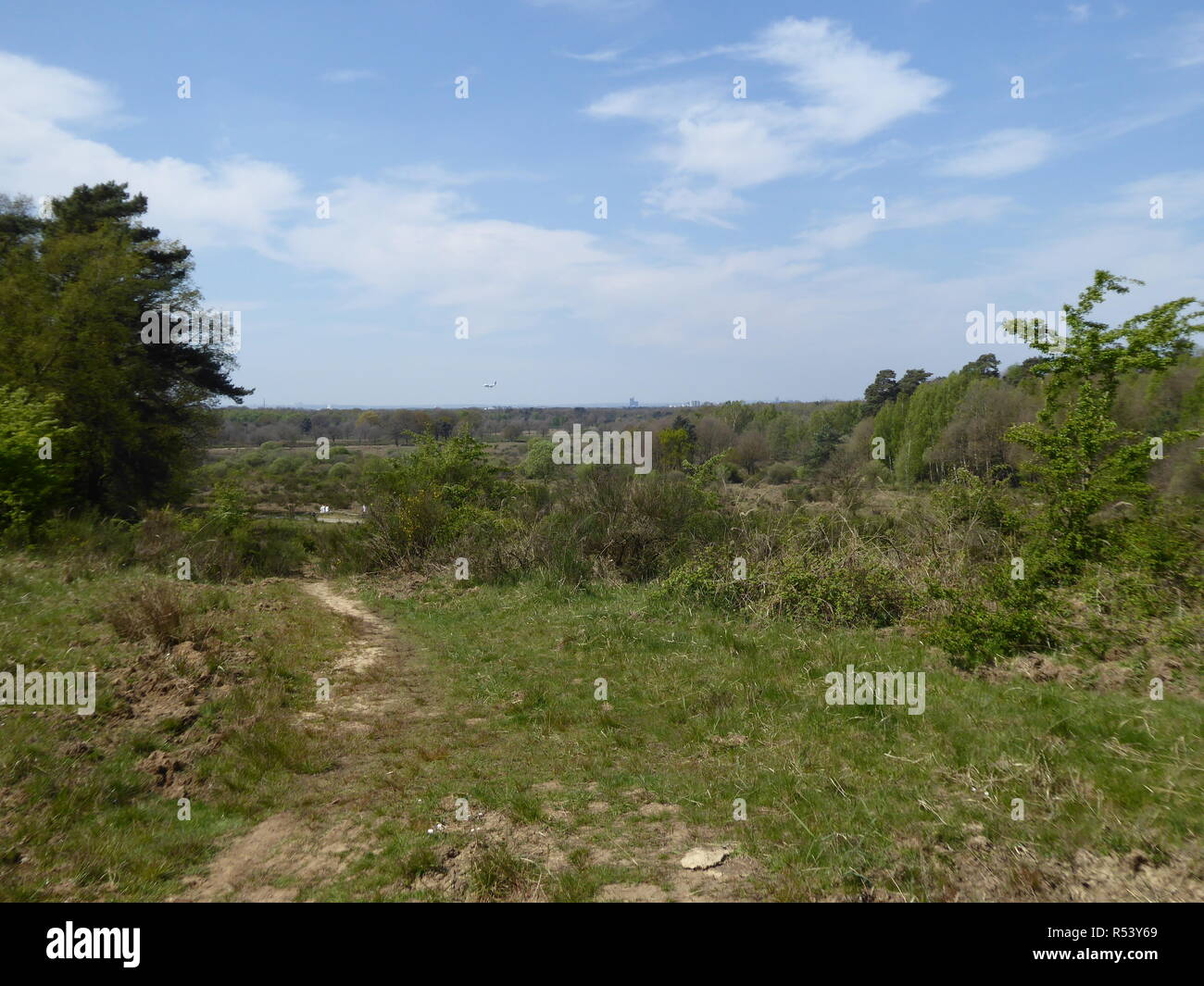 germany,north rhine-westphalia: wahner heide nature reserve Stock Photo ...