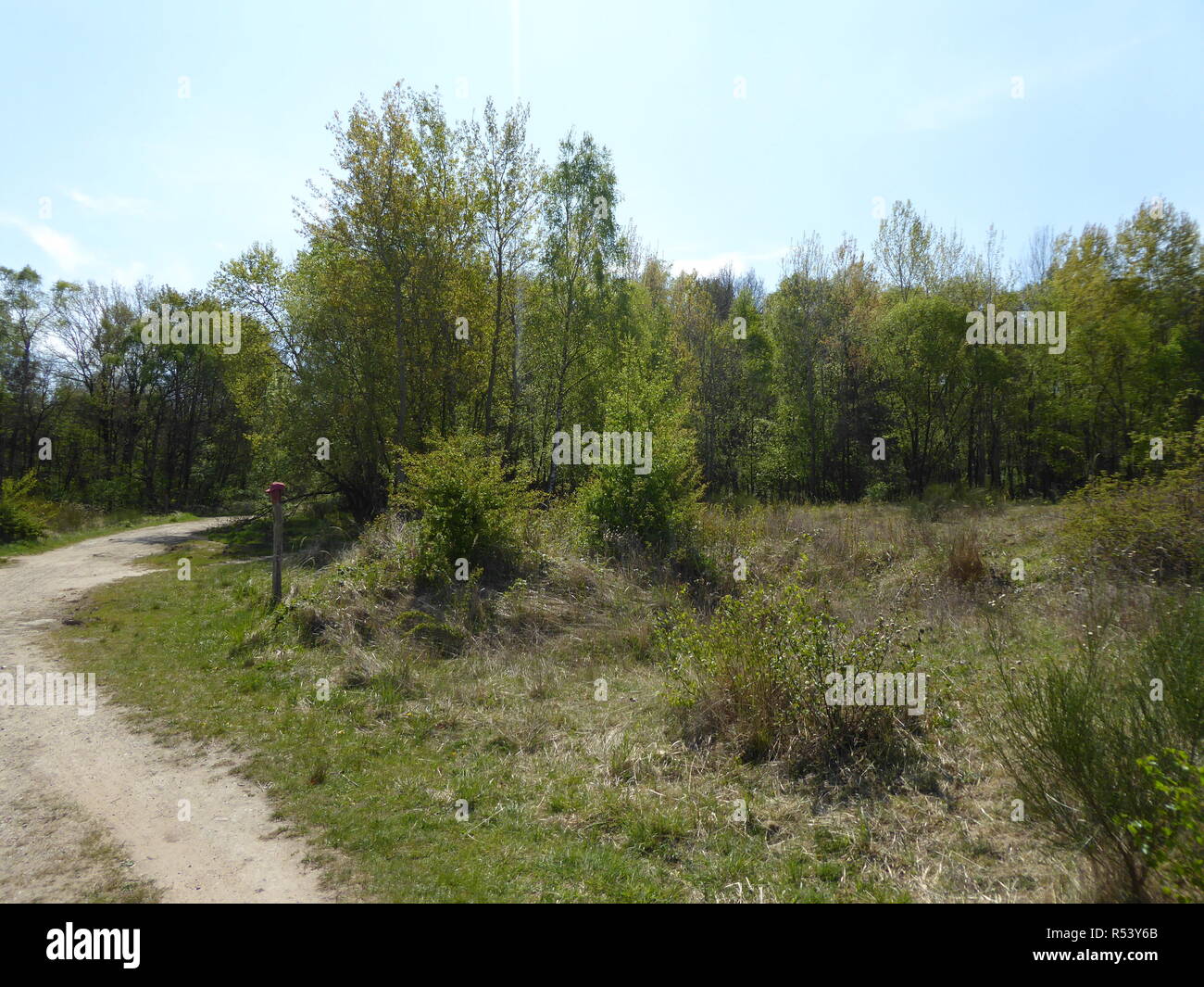 Wahner heide nature reserve hi-res stock photography and images - Alamy