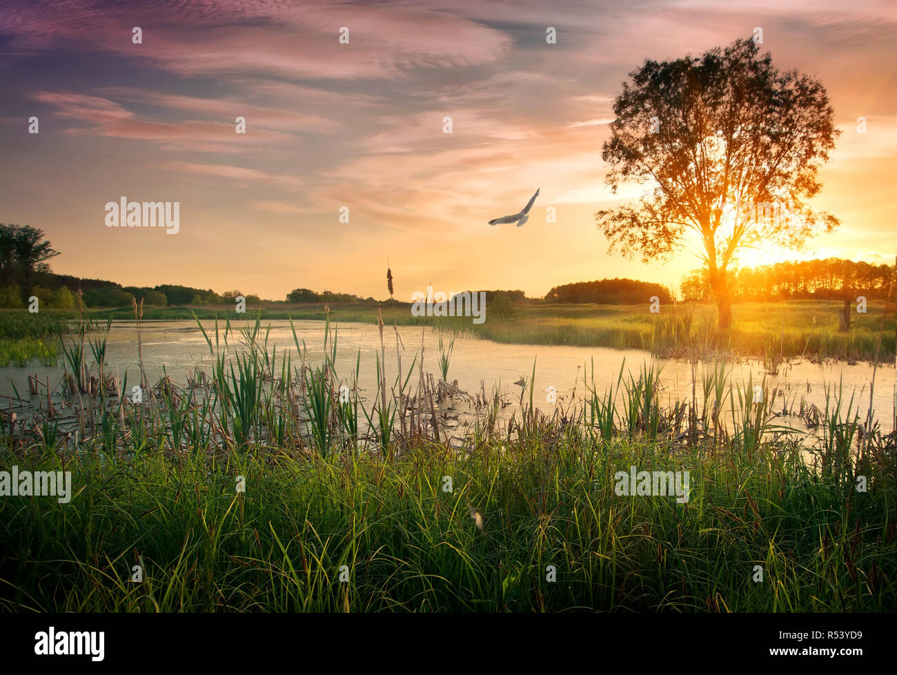 Dusk over river Stock Photo - Alamy