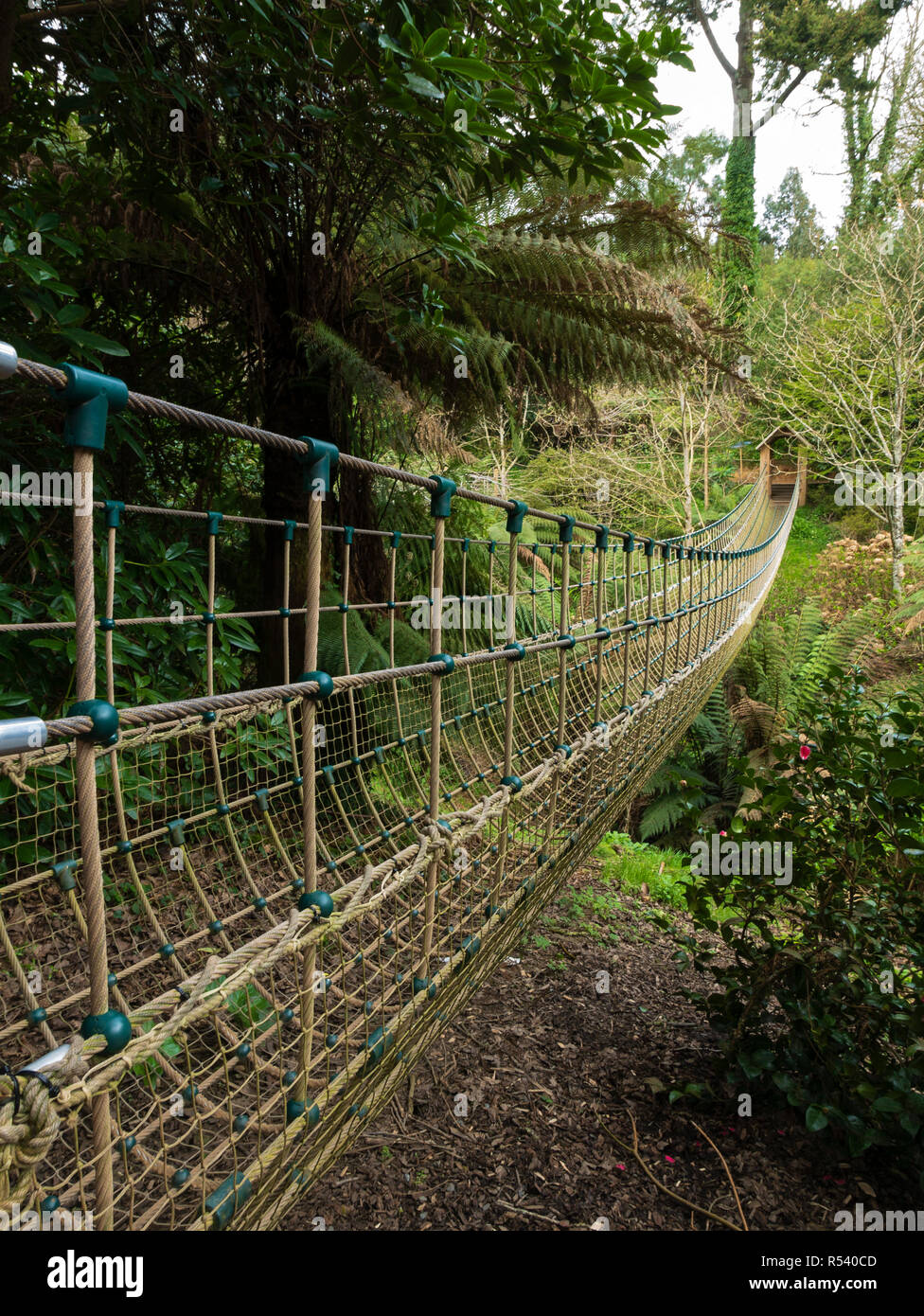 The Burma Rope Bridge, The Lost Gardens of Heligan, St Austell ...