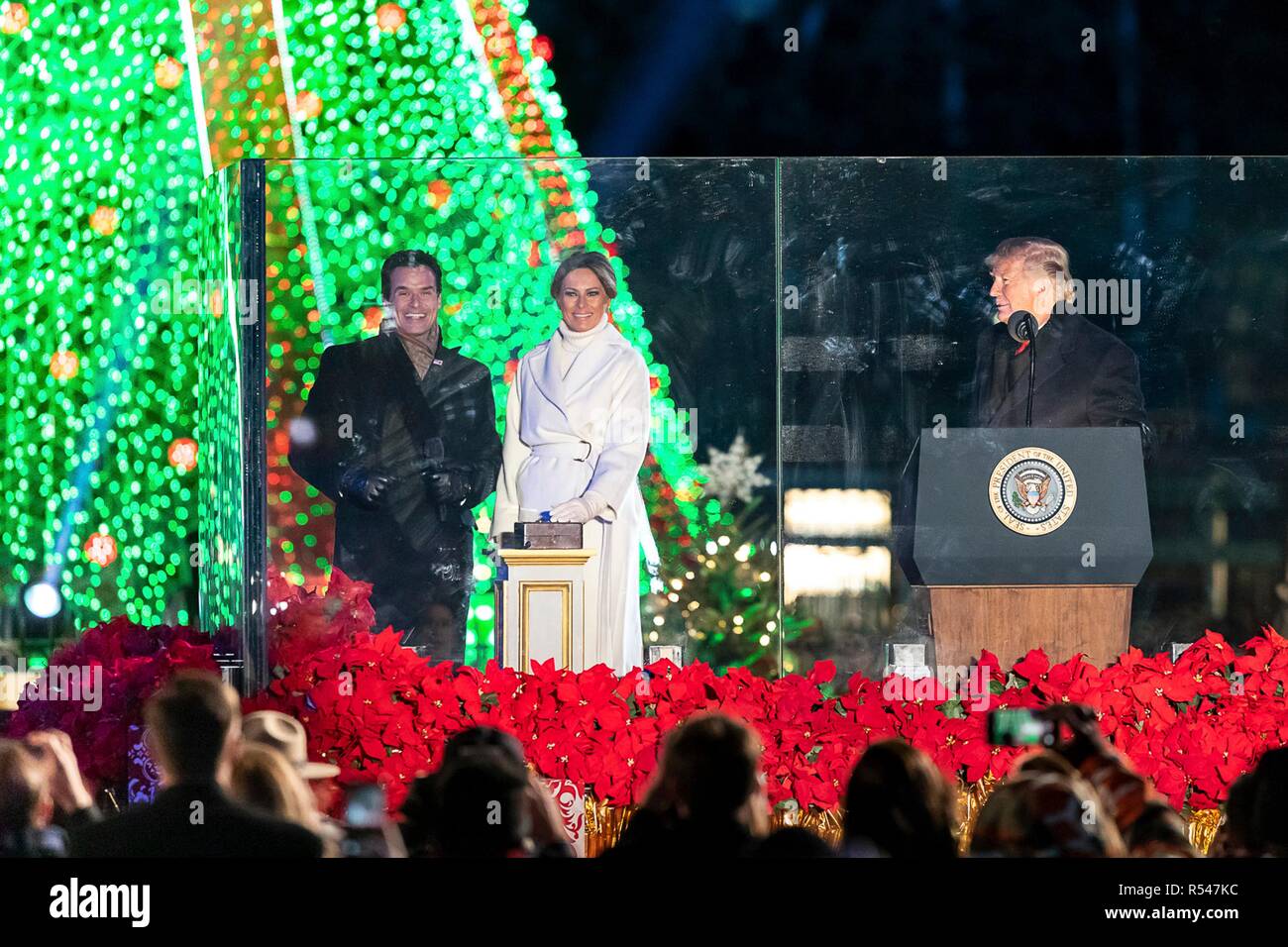 Tree lighting switch hi-res stock photography and images - Alamy