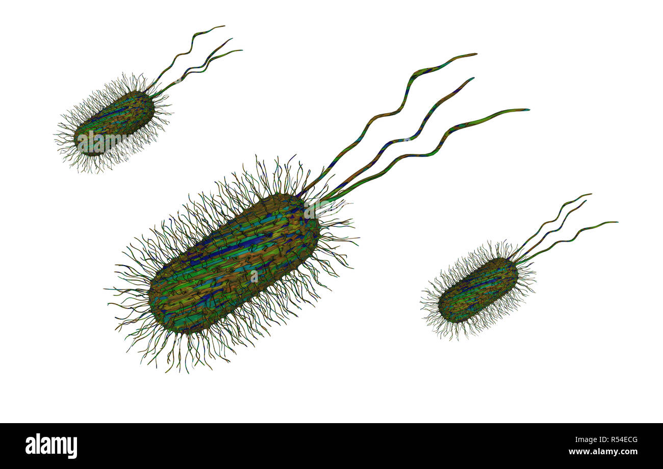 Pathogens graphic Cut Out Stock Images & Pictures - Alamy
