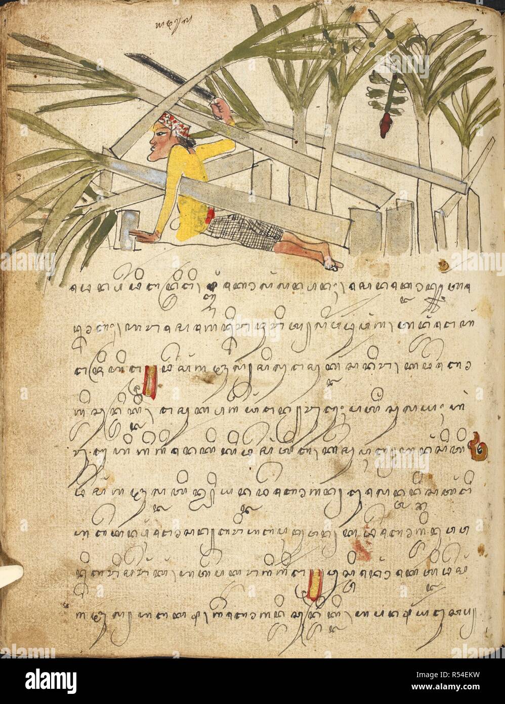 Demang Gatul Terjatuh Di Ladang Pisang - Demang Gatul entangled in a ...