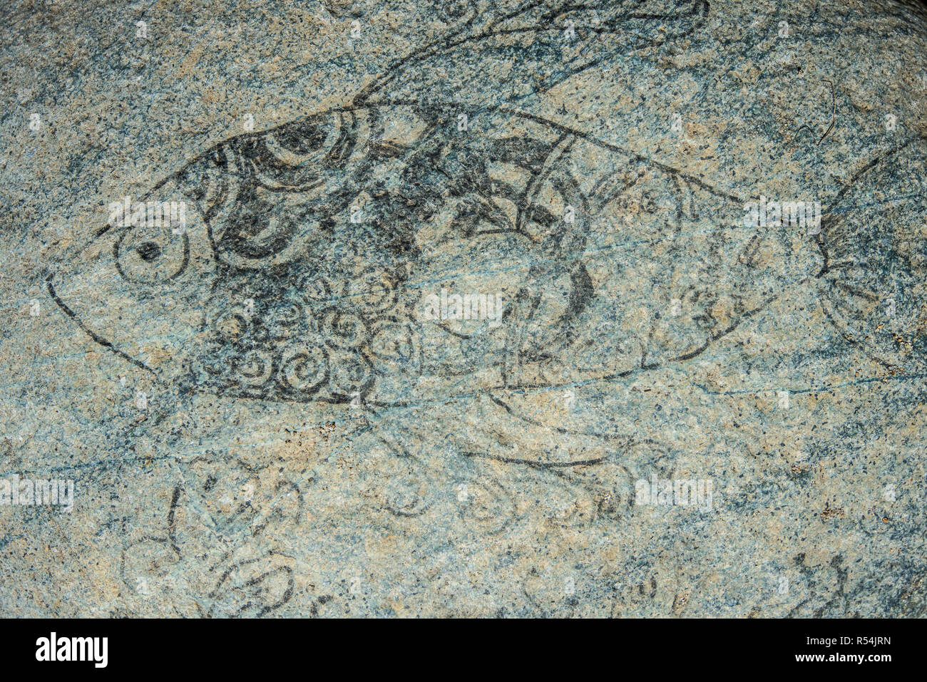 fish on stone Stock Photo - Alamy