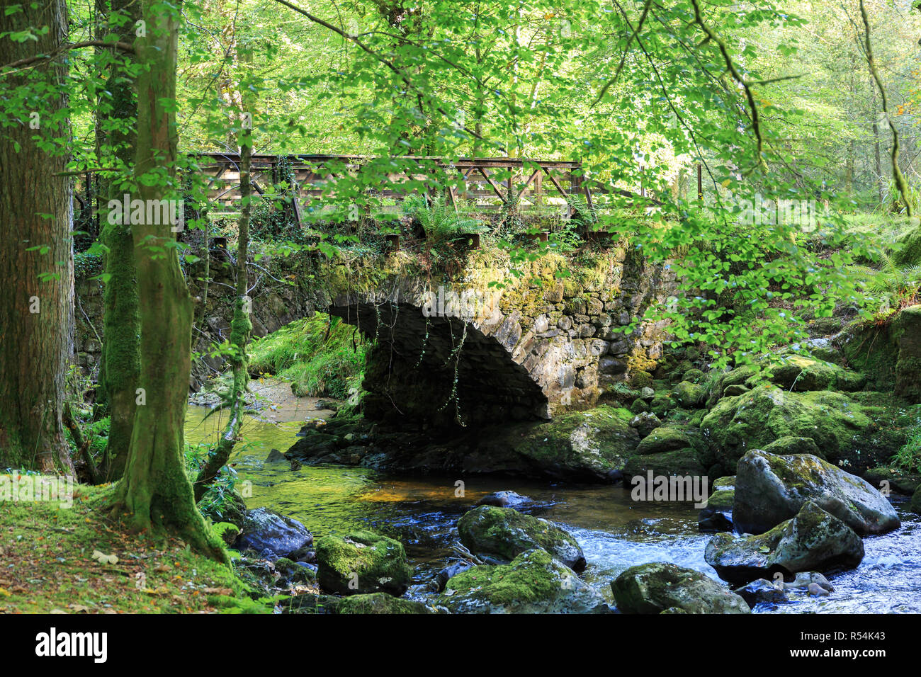 Old stone bridge in scotland hi-res stock photography and images - Alamy