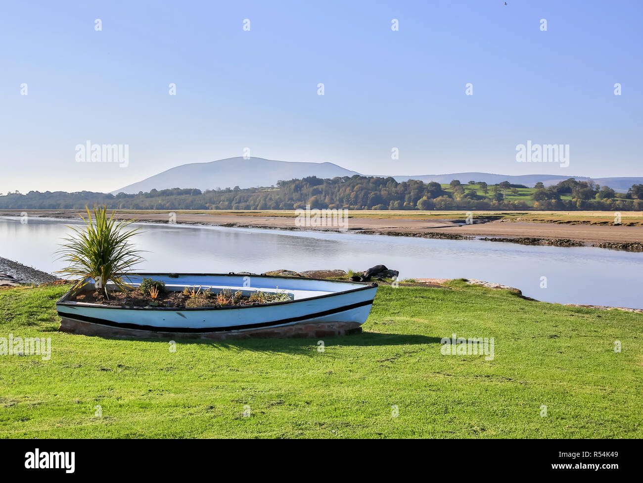 Old rowing boat used as a plant holder at the side of the River Nith ...