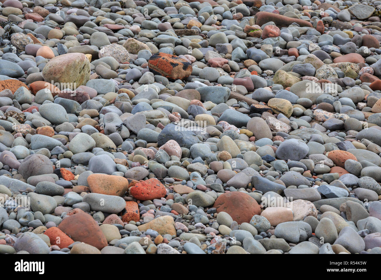 Small red pebbles hi-res stock photography and images - Alamy