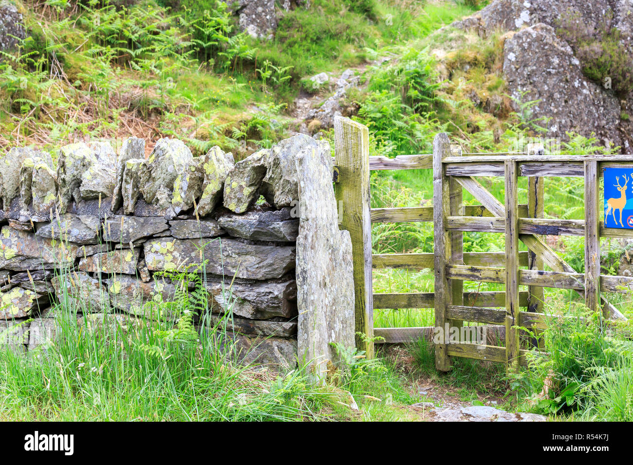 Footpath gate fixed to a wood post by a stonewall Stock Photo - Alamy
