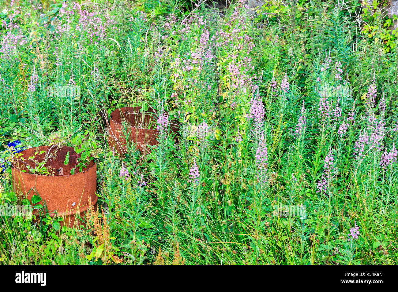 Two old metal garbage hi-res stock photography and images - Alamy