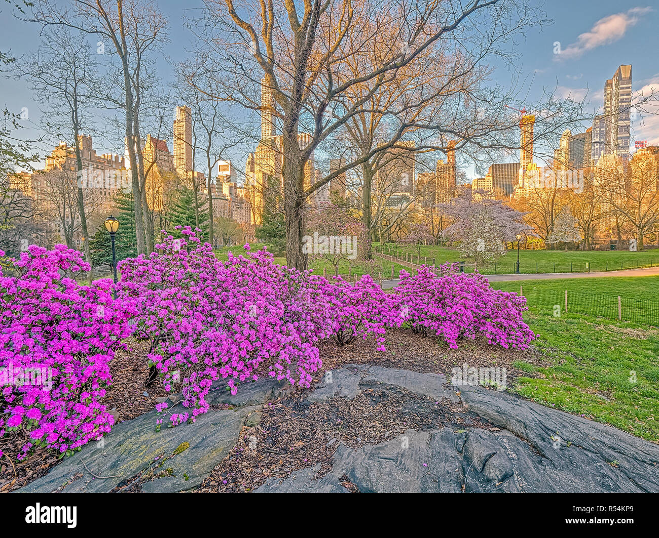 Central Park, Manhattan, New York City in spring Stock Photo - Alamy