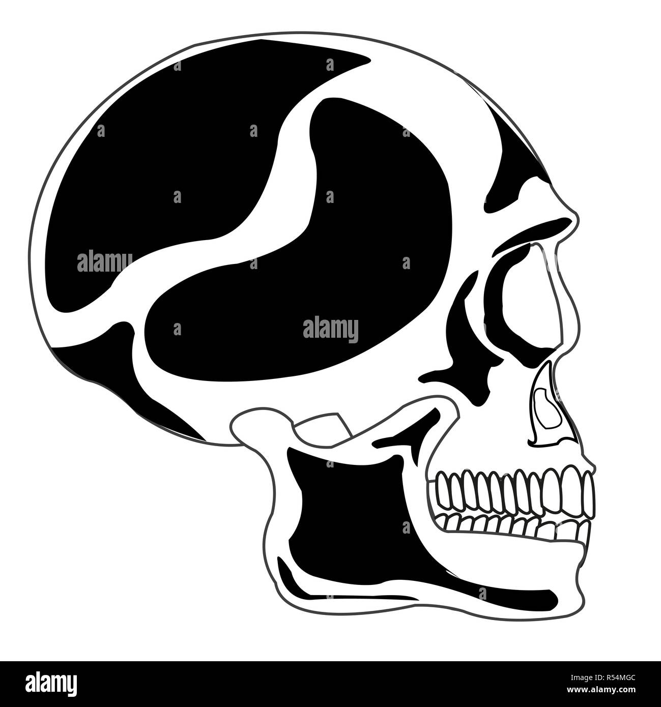 Person and bones Cut Out Stock Images & Pictures - Alamy