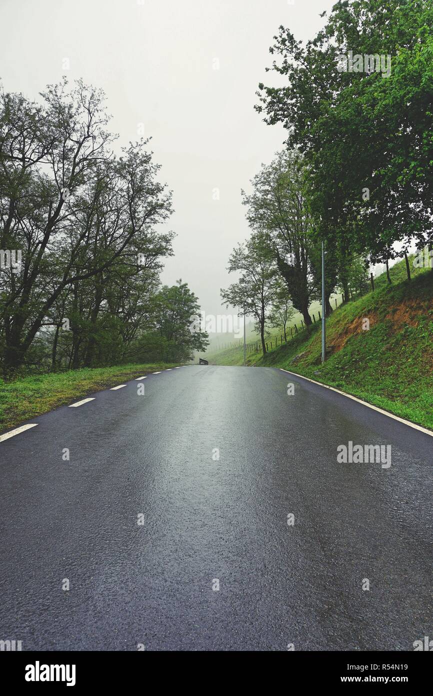 road with green trees Stock Photo - Alamy