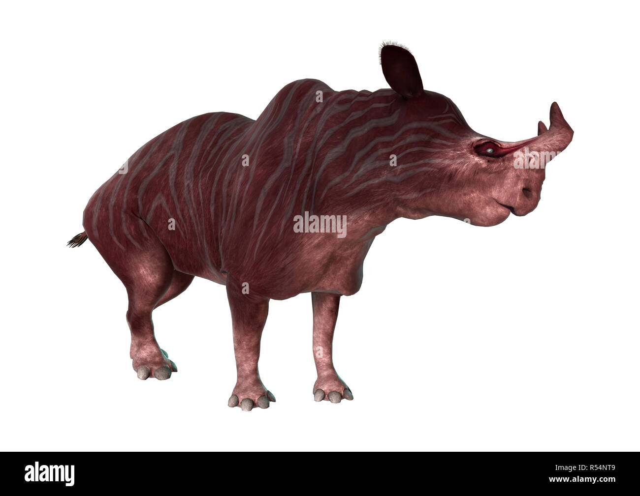 3D Rendering Kiroi Animal on White Stock Photo - Alamy