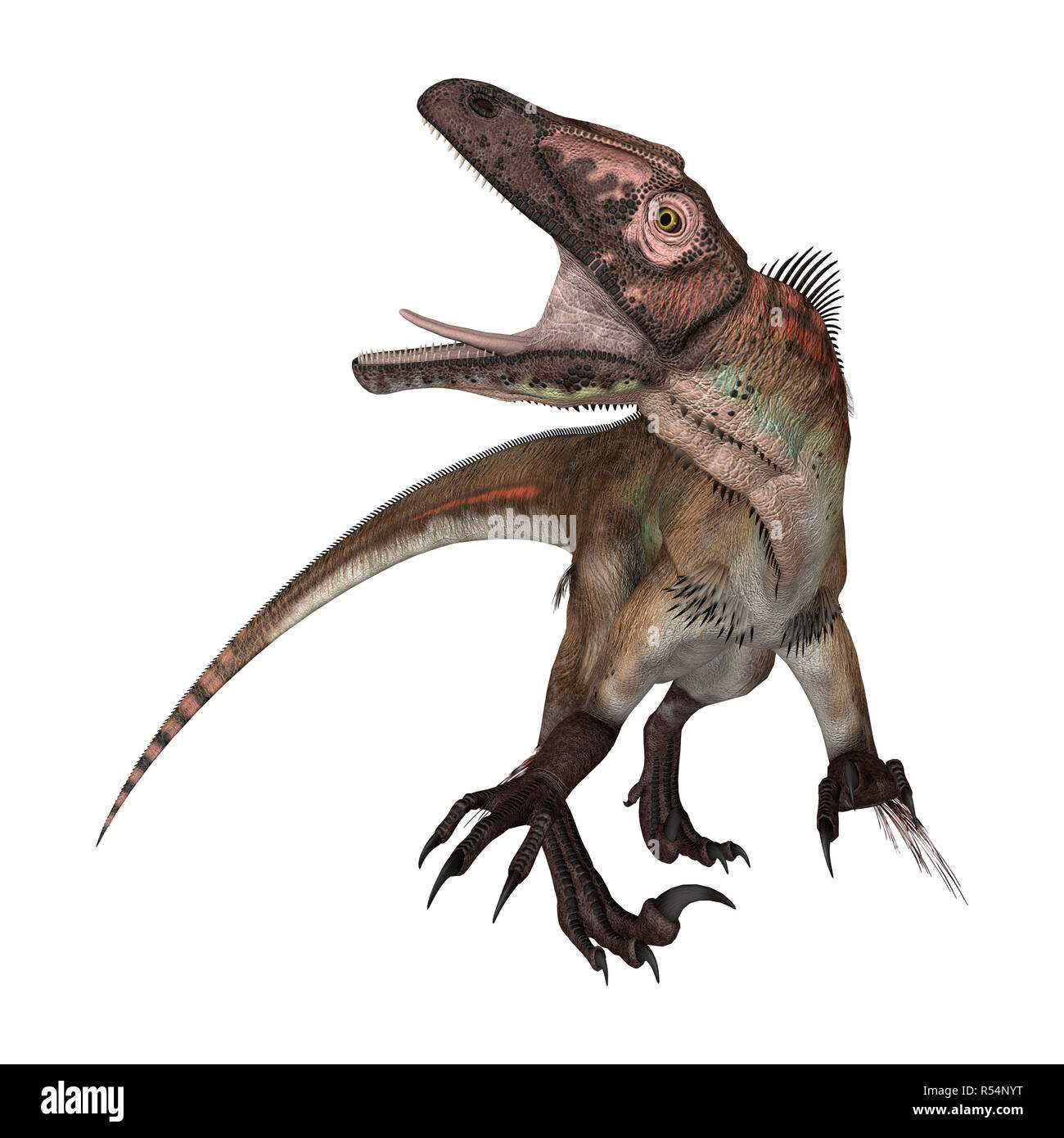 Utahraptor isolated hi-res stock photography and images - Alamy