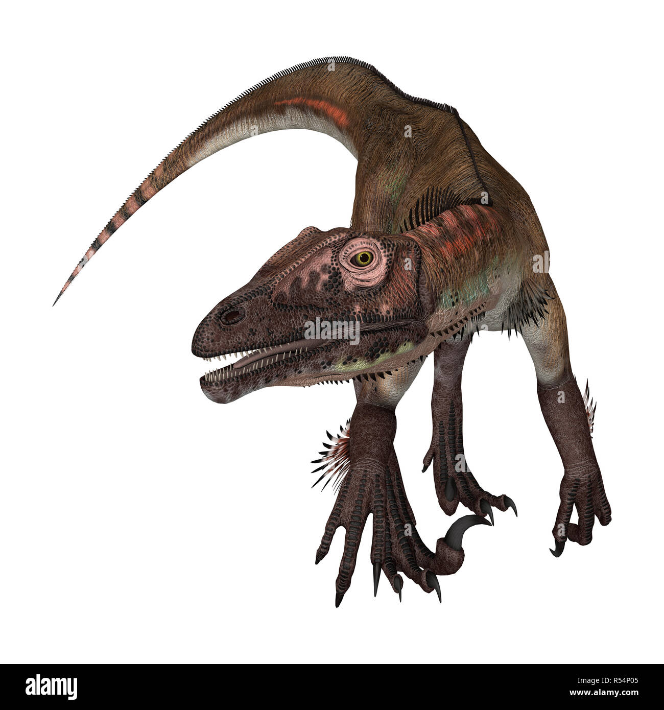 3D Rendering Dinosaur Utahraptor on White Stock Photo - Alamy