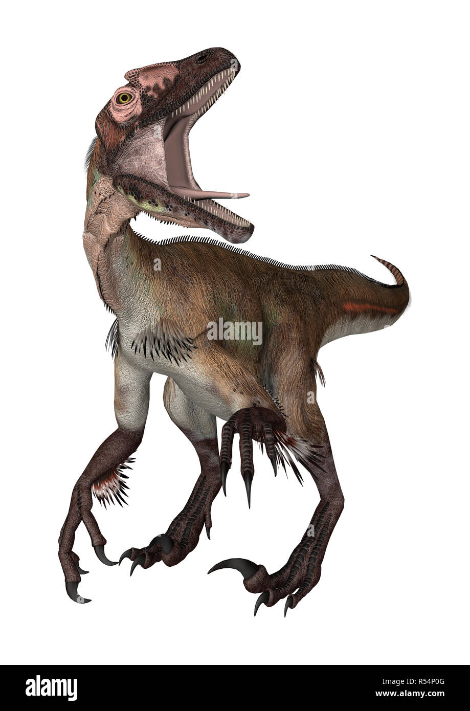Utahraptor isolated hi-res stock photography and images - Alamy