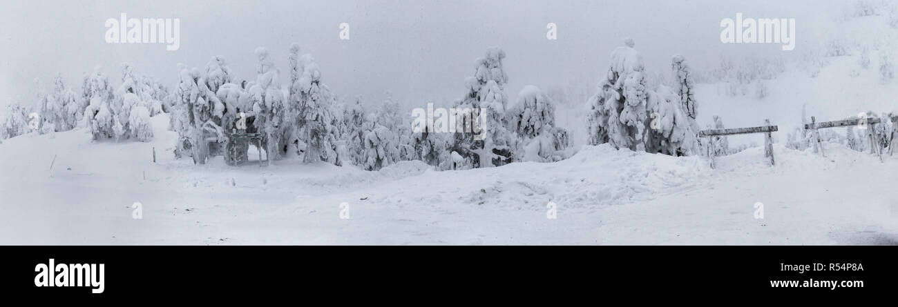 Heavy snow scenery hi-res stock photography and images - Alamy
