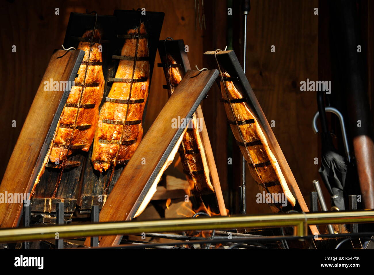 Flamed salmon,Evergreen Country Look in Herrenhausen Gardens Hanover ...