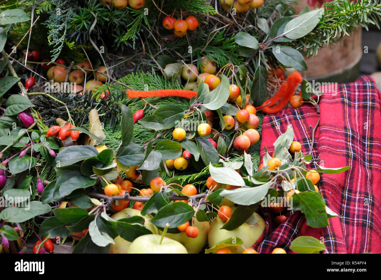 Evergreen Country Look in Herrenhausen Gardens Hanover Germany Stock ...