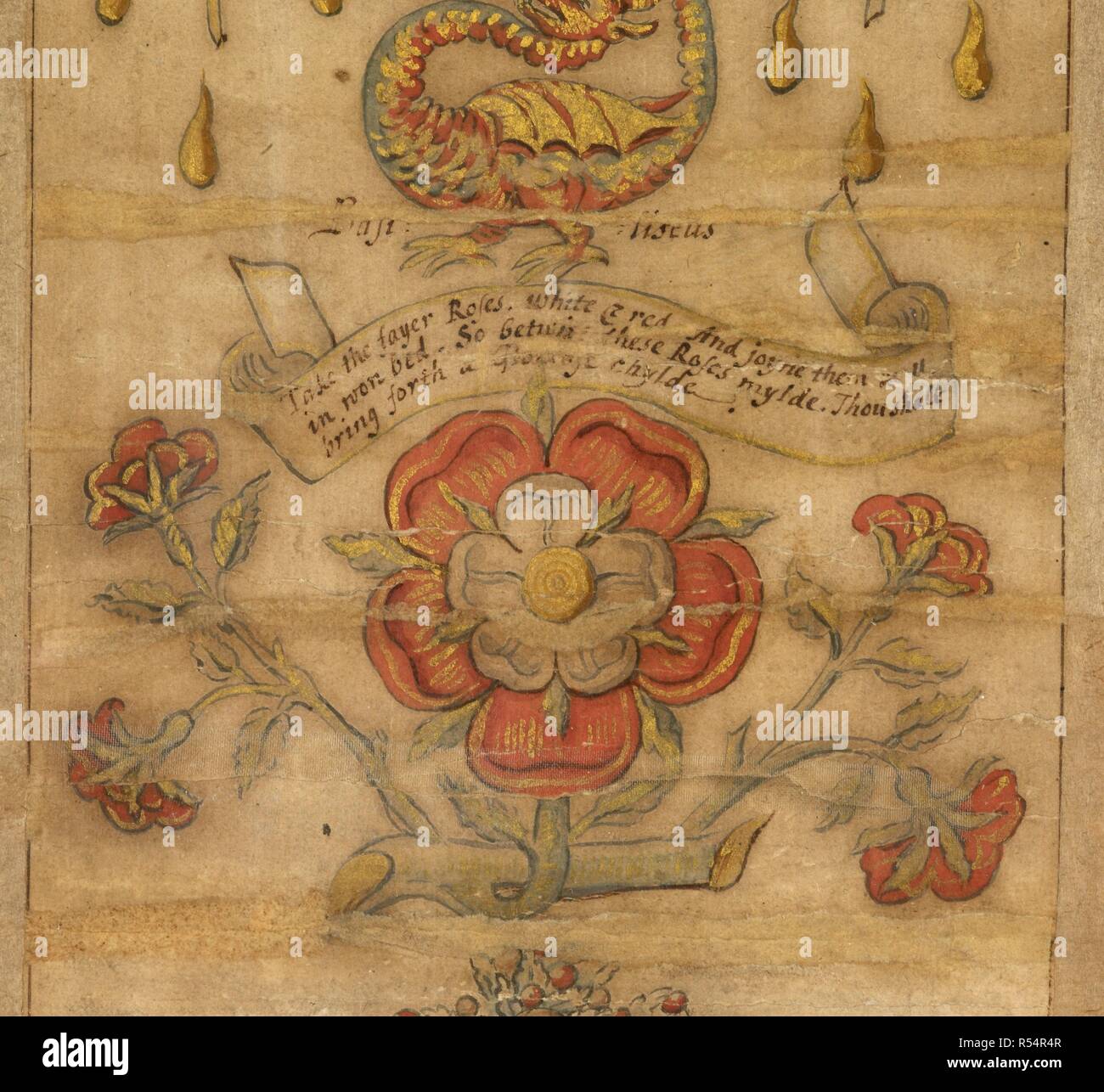 A large red and white rose, with four other smaller roses in profile ...