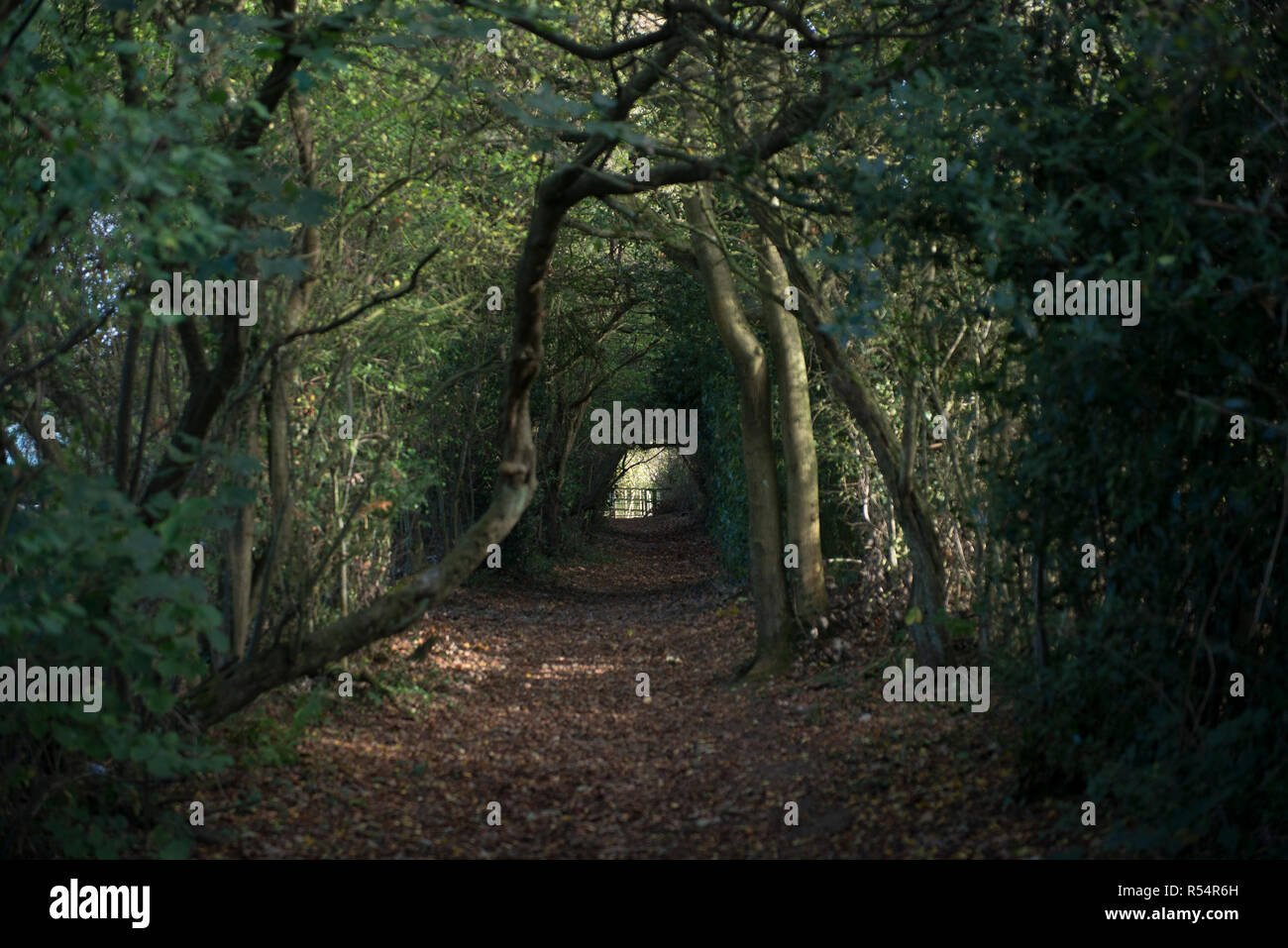 Shotover Park High Resolution Stock Photography and Images - Alamy