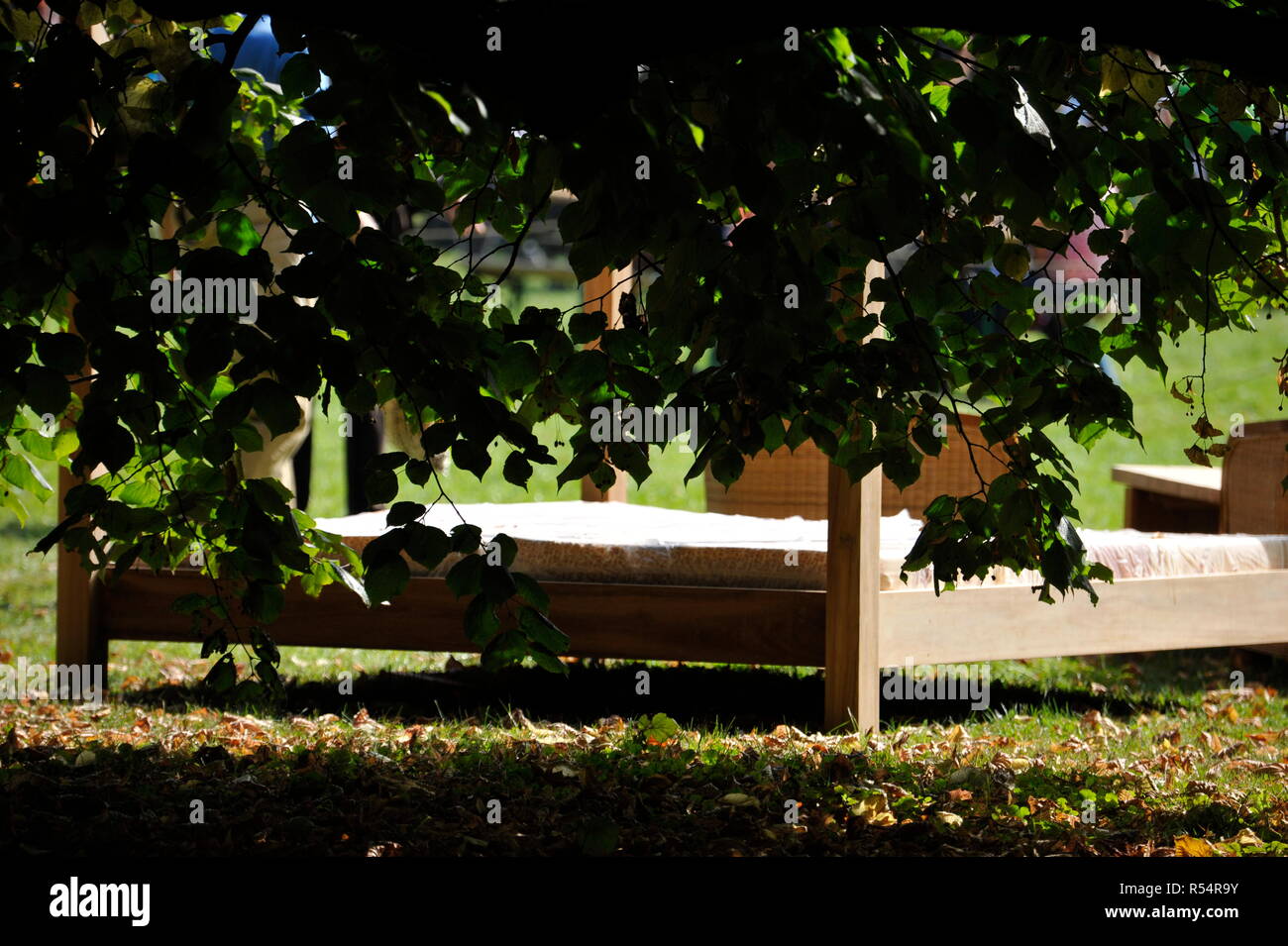 Evergreen Country Look in Herrenhausen Gardens Hanover Germany Stock ...