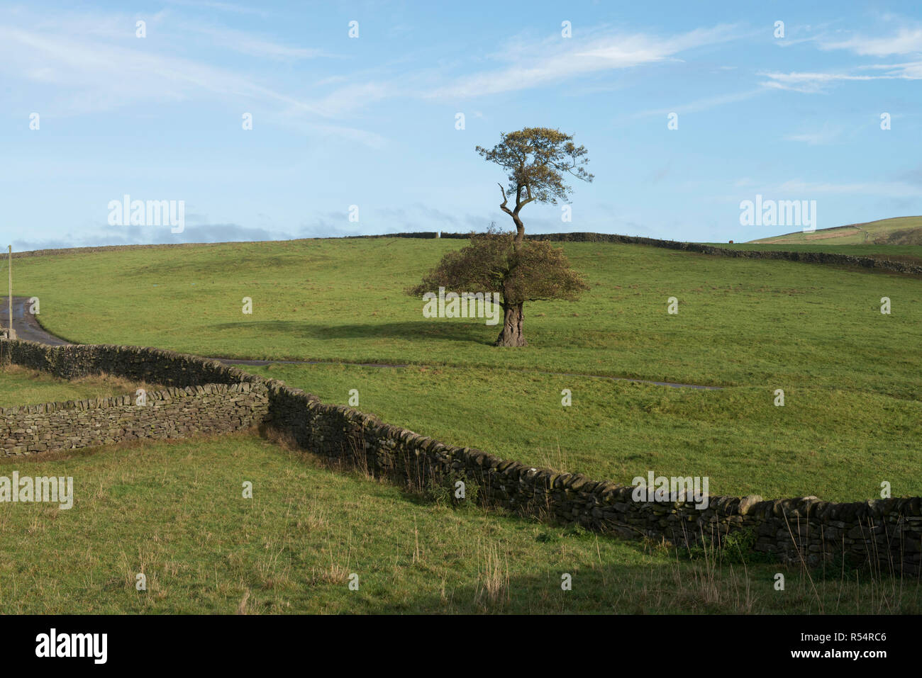 The Yorkshire Dales in autumn,the area is a National Park in the UK.The ...