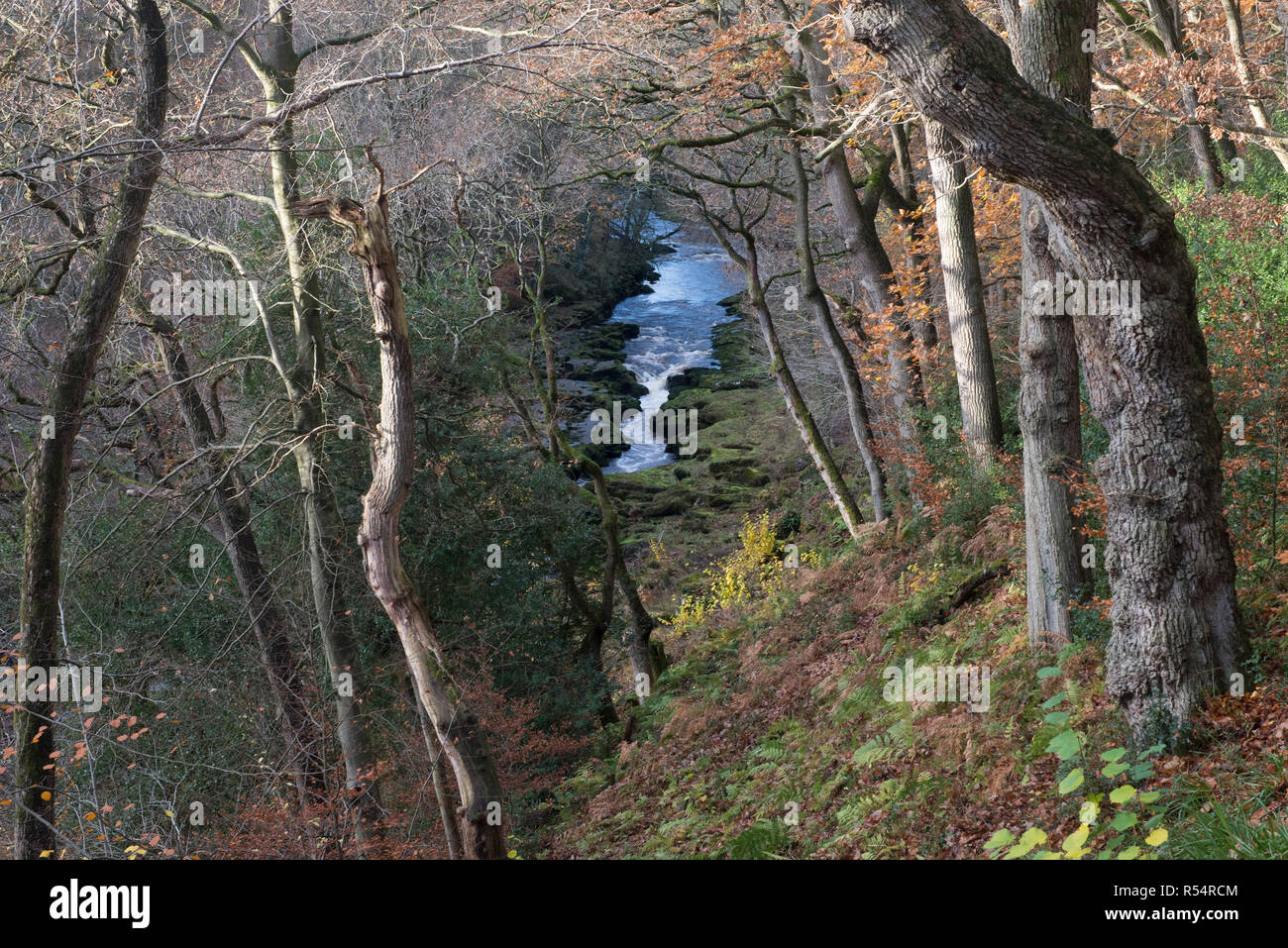 River Wharfe in Yorkshire Dales National Park Stock Photo - Alamy