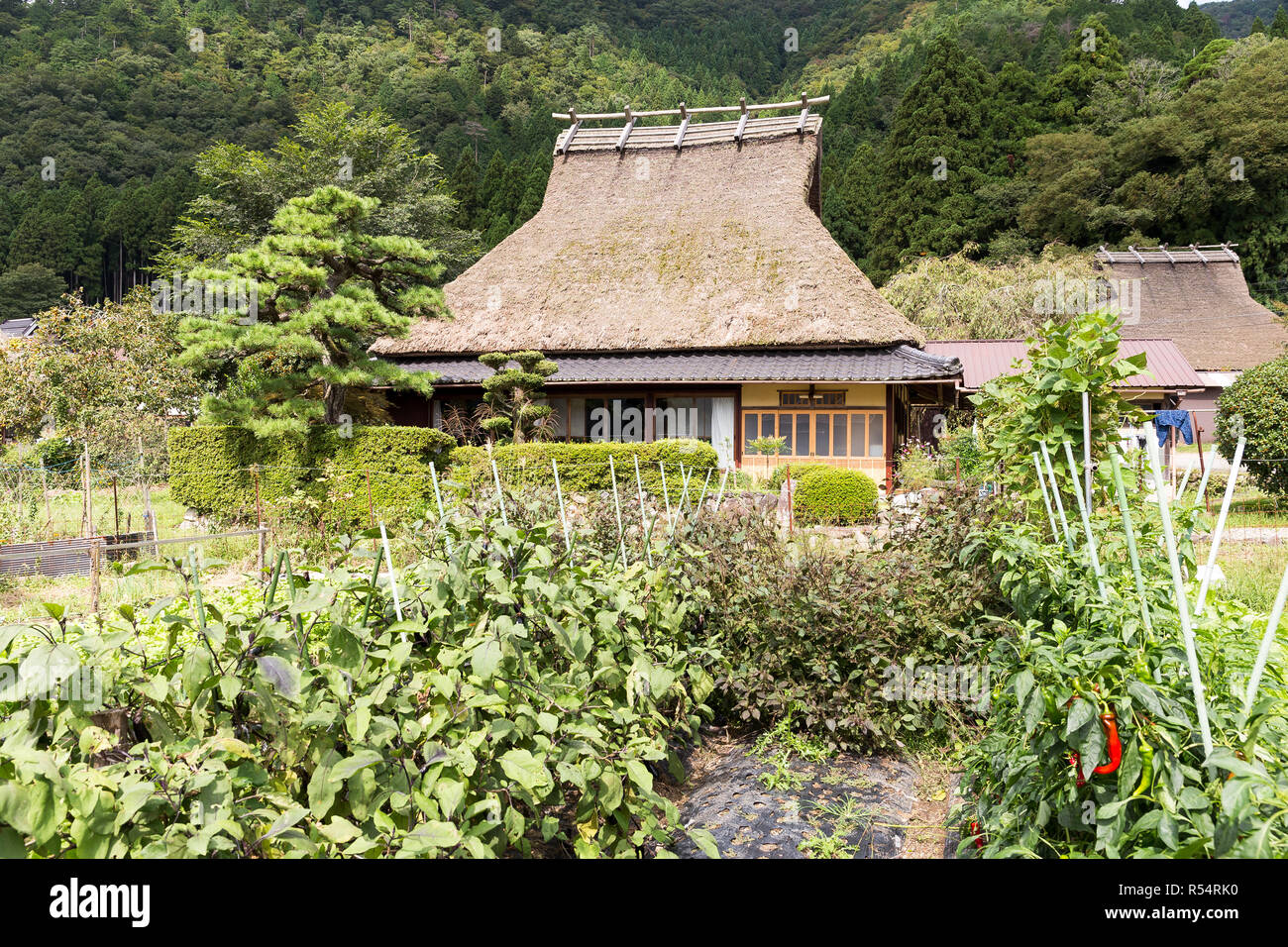 Miyama village hi-res stock photography and images - Alamy