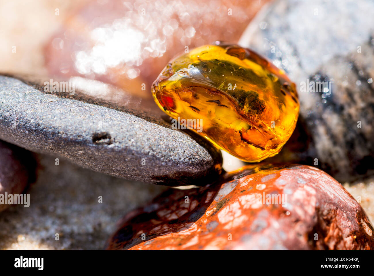 amber on the baltic sea beach Stock Photo - Alamy