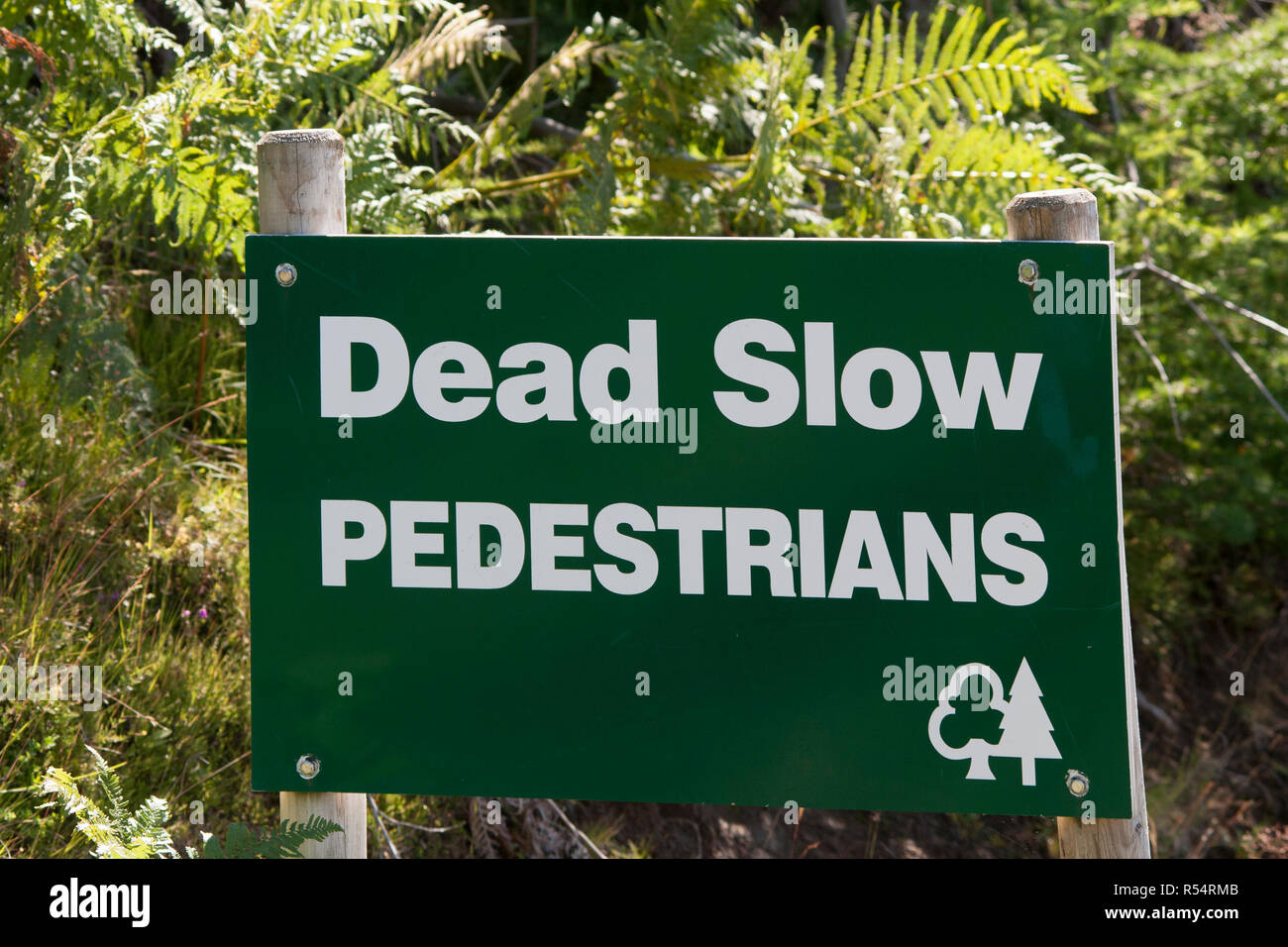Dead slow sign hi-res stock photography and images - Alamy