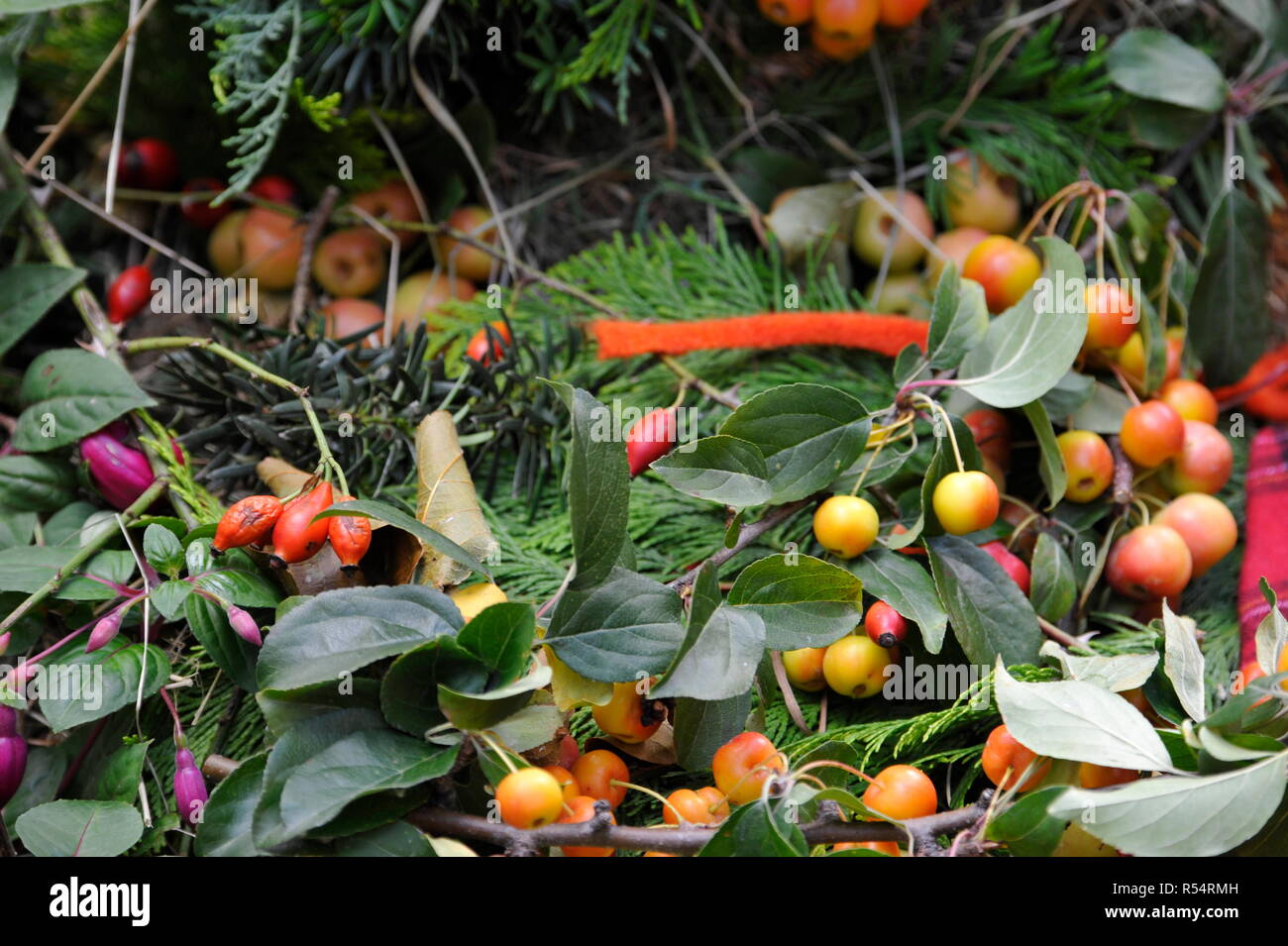 Evergreen Country Look in Herrenhausen Gardens Hanover Germany Stock ...