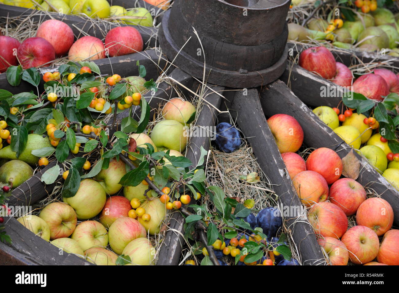 Evergreen Country Look in Herrenhausen Gardens Hanover Germany Stock ...
