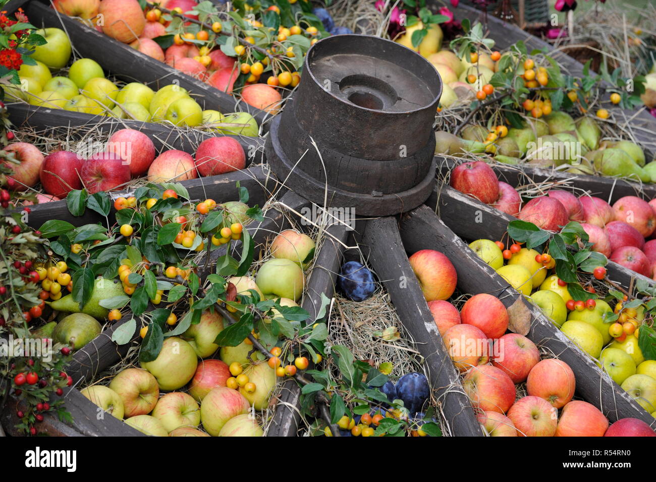 Evergreen Country Look in Herrenhausen Gardens Hanover Germany Stock ...