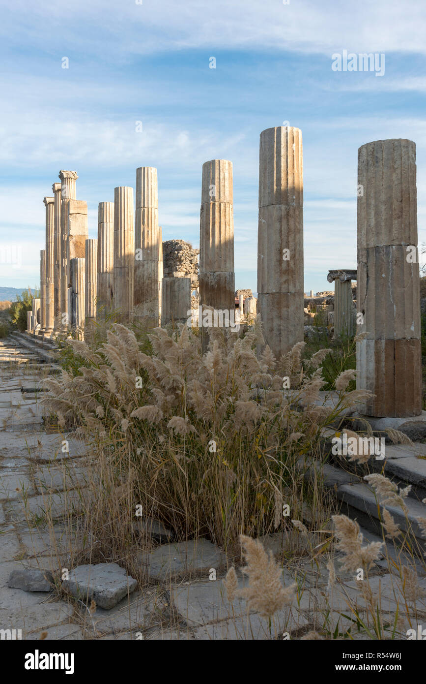 The ancient site of Magnesia on the Meander, located 19 km of Ephesus ...