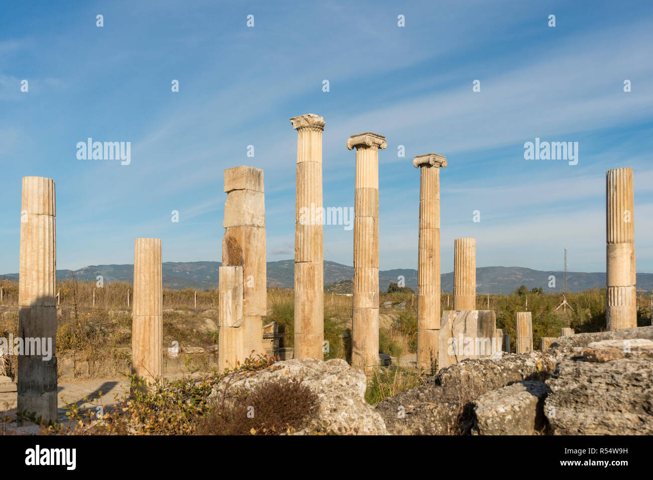 The ancient site of Magnesia on the Meander, located 19 km of Ephesus ...
