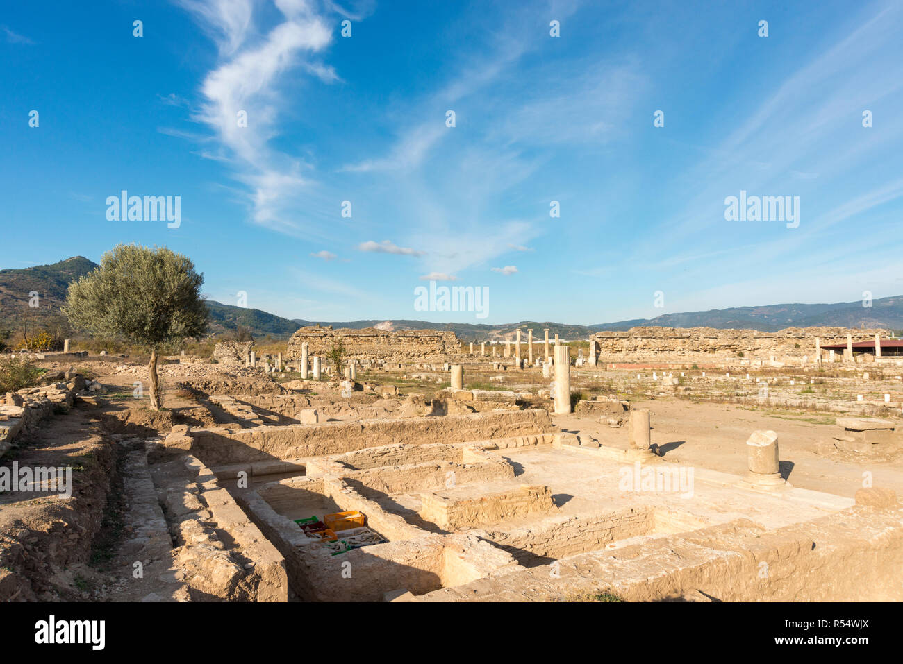 The ancient site of Magnesia on the Meander, located 19 km of Ephesus ...
