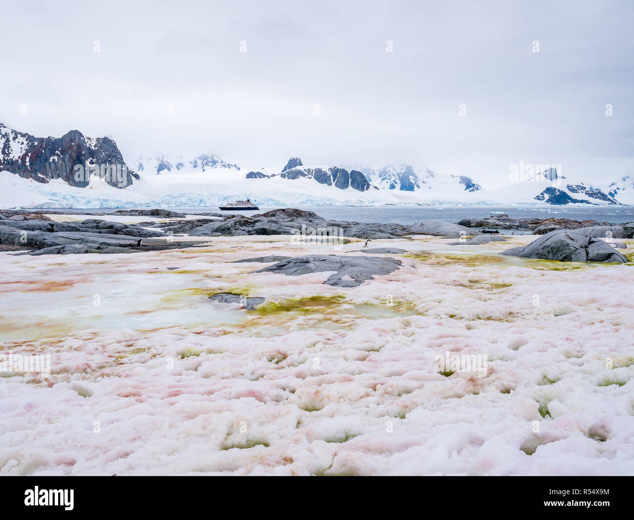 Penola strait hi-res stock photography and images - Alamy