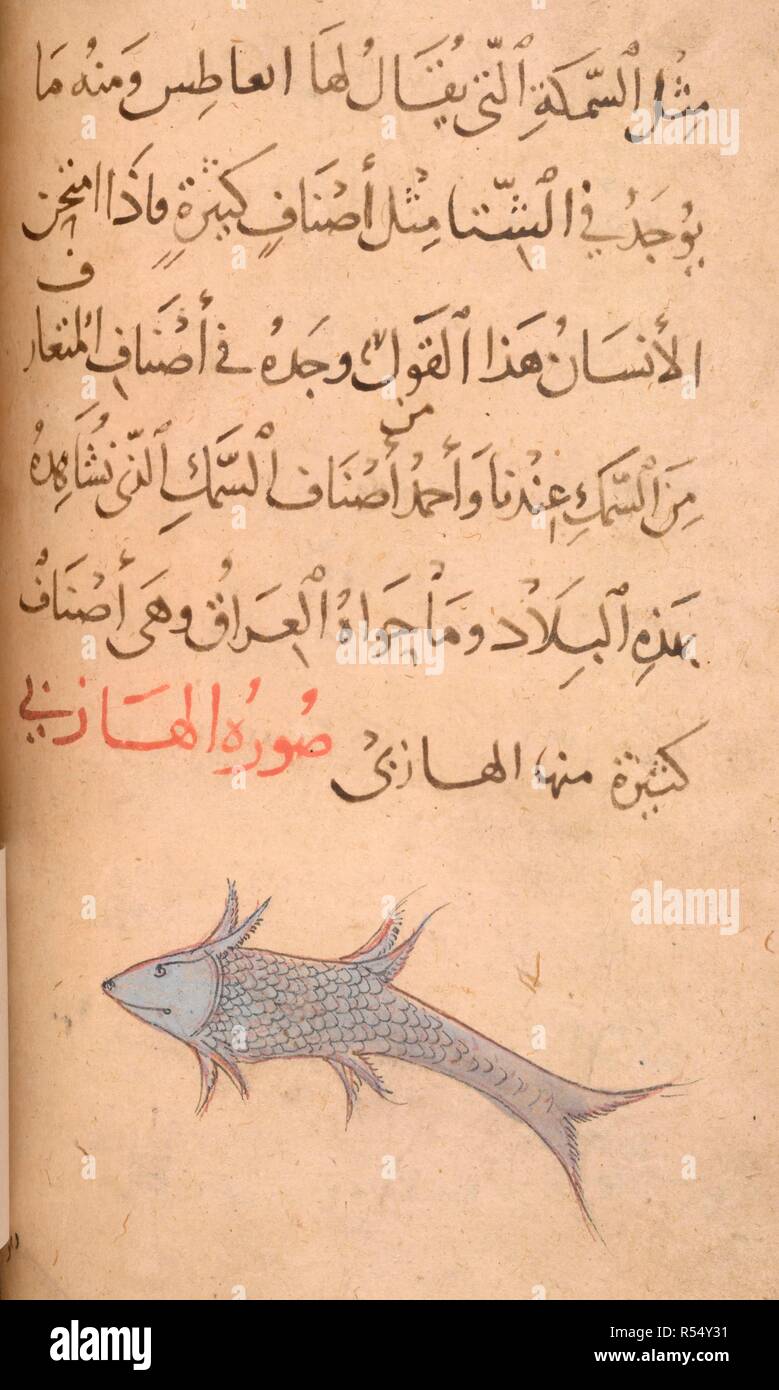 Kitab al hayawan hi-res stock photography and images - Alamy