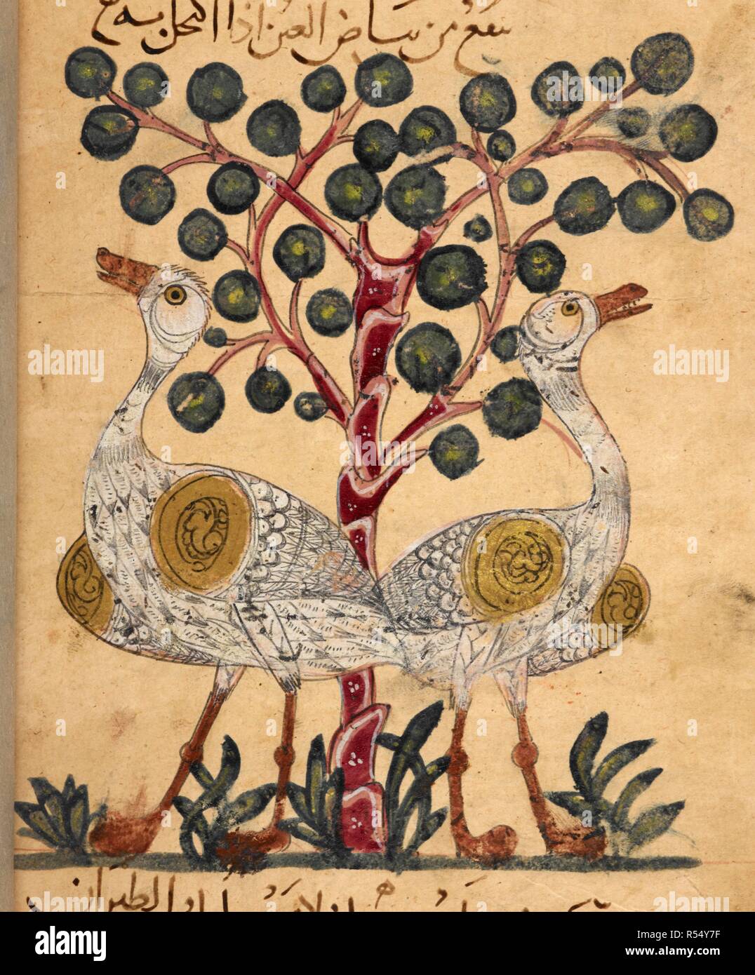 Ibn bakhtishu hi-res stock photography and images - Alamy