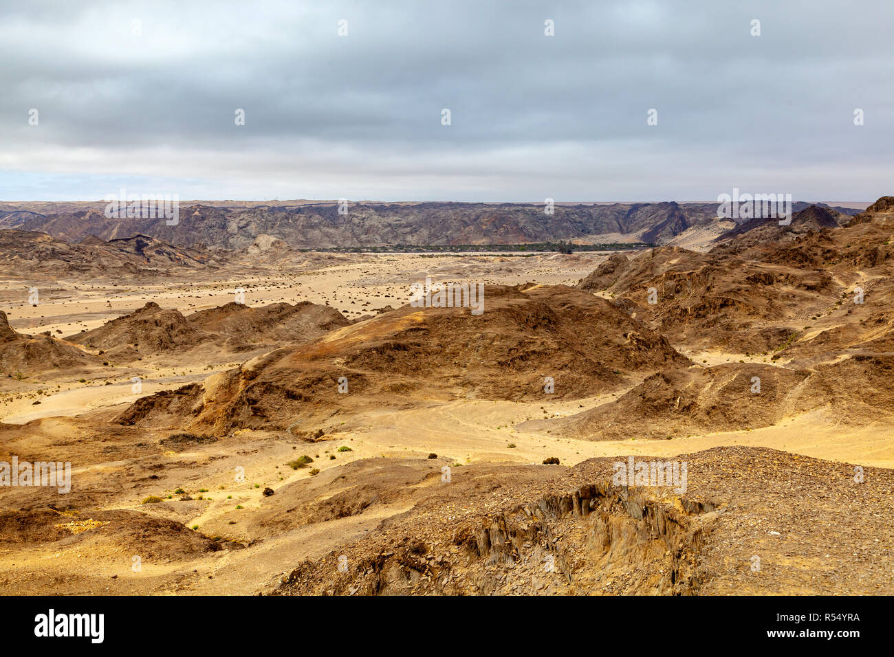 Desolation with only a few hardy plants in the arid Namib desert on the ...