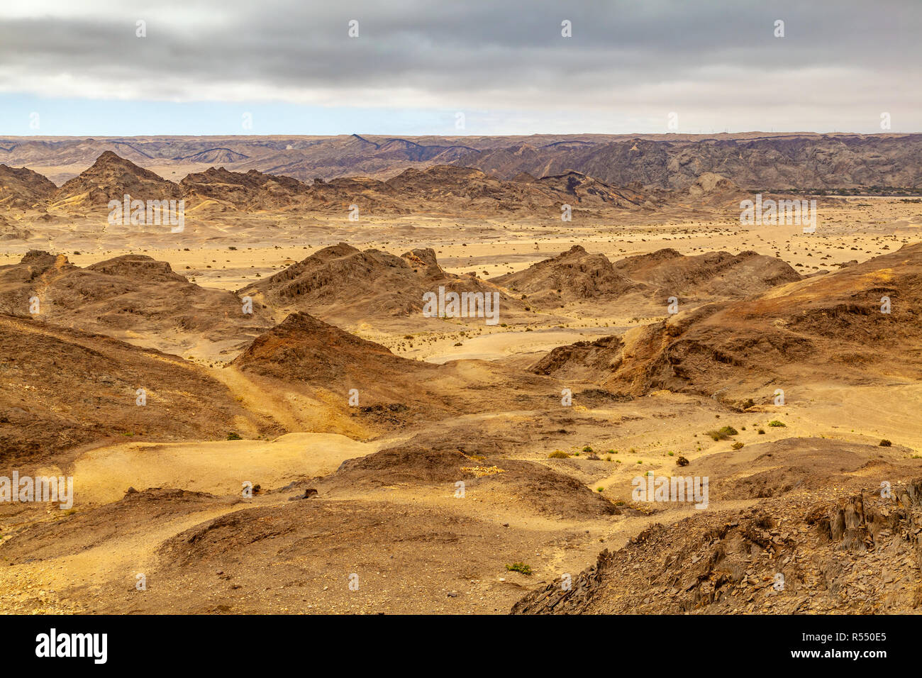Desolation with only a few hardy plants in the arid Namib desert on the ...