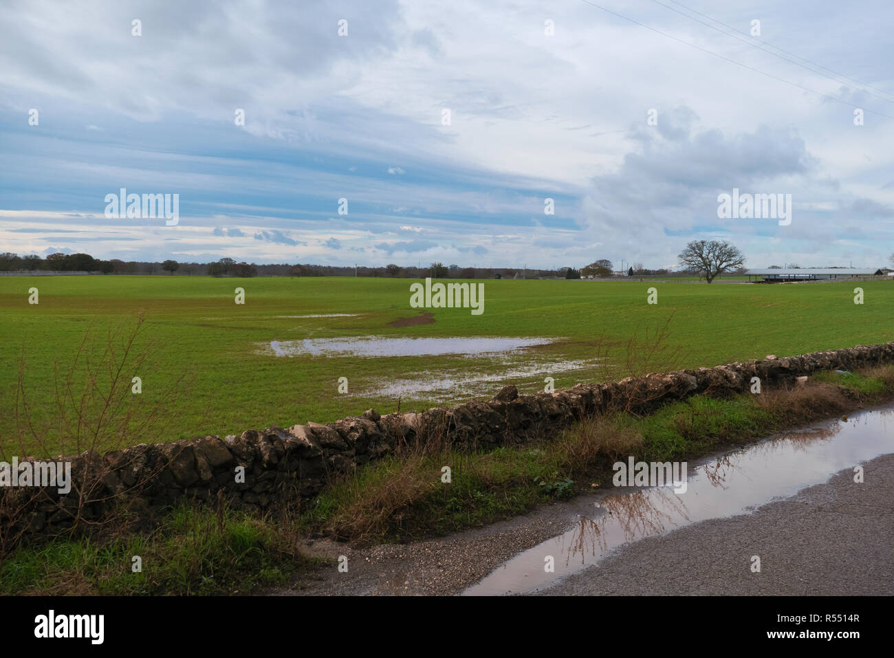 Puddles of rainwater in the agricultural fields on the Hills of the ...