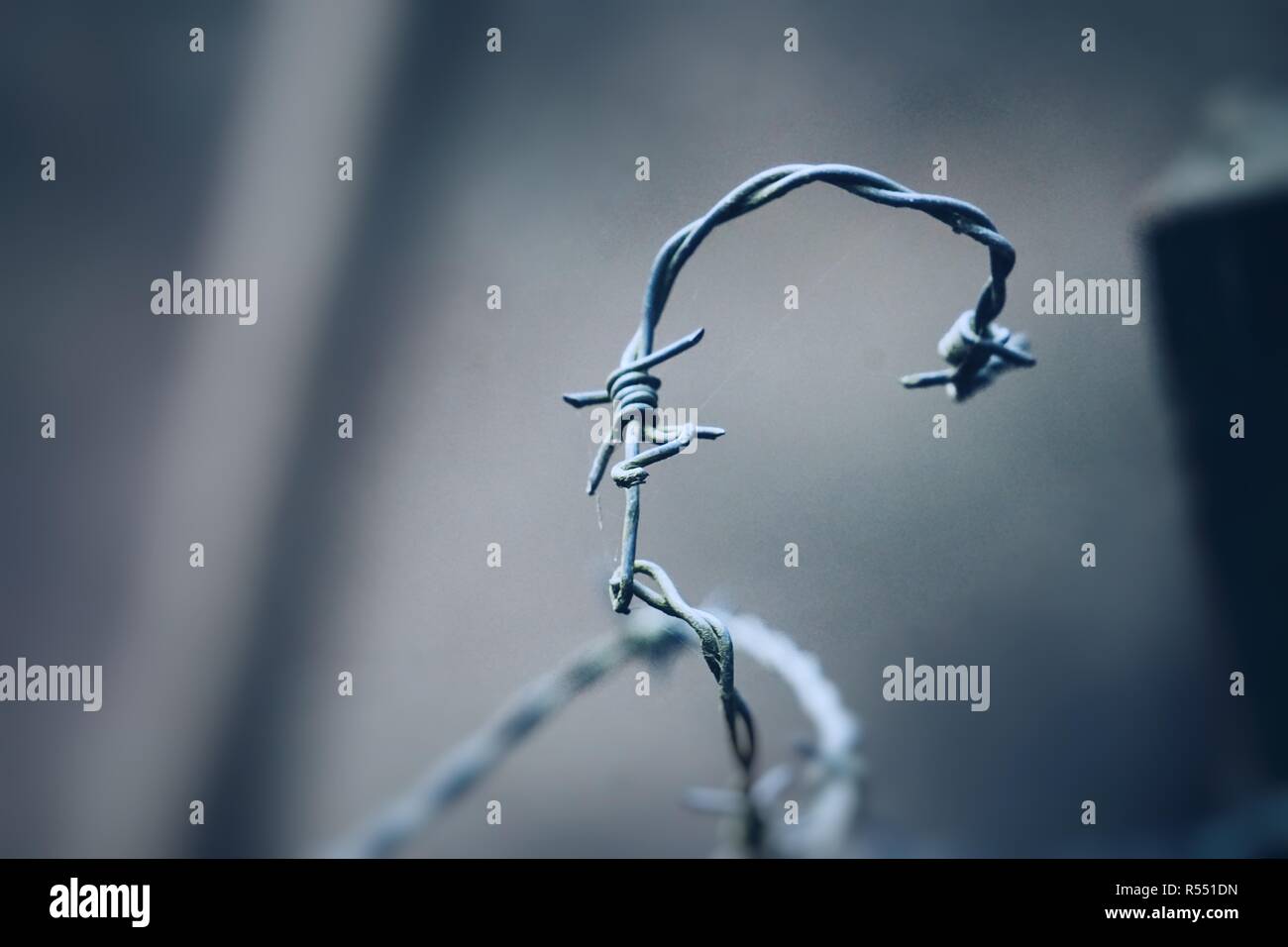 the broken wire fence Stock Photo - Alamy