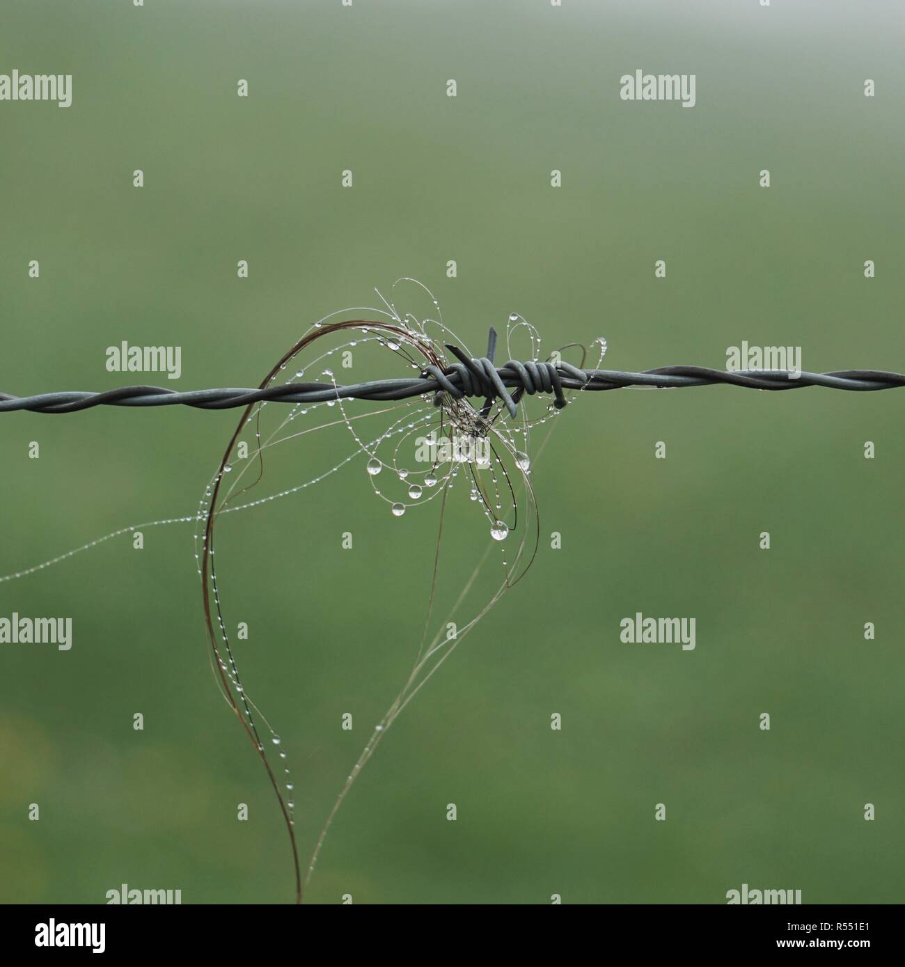 the broken wire fence Stock Photo - Alamy