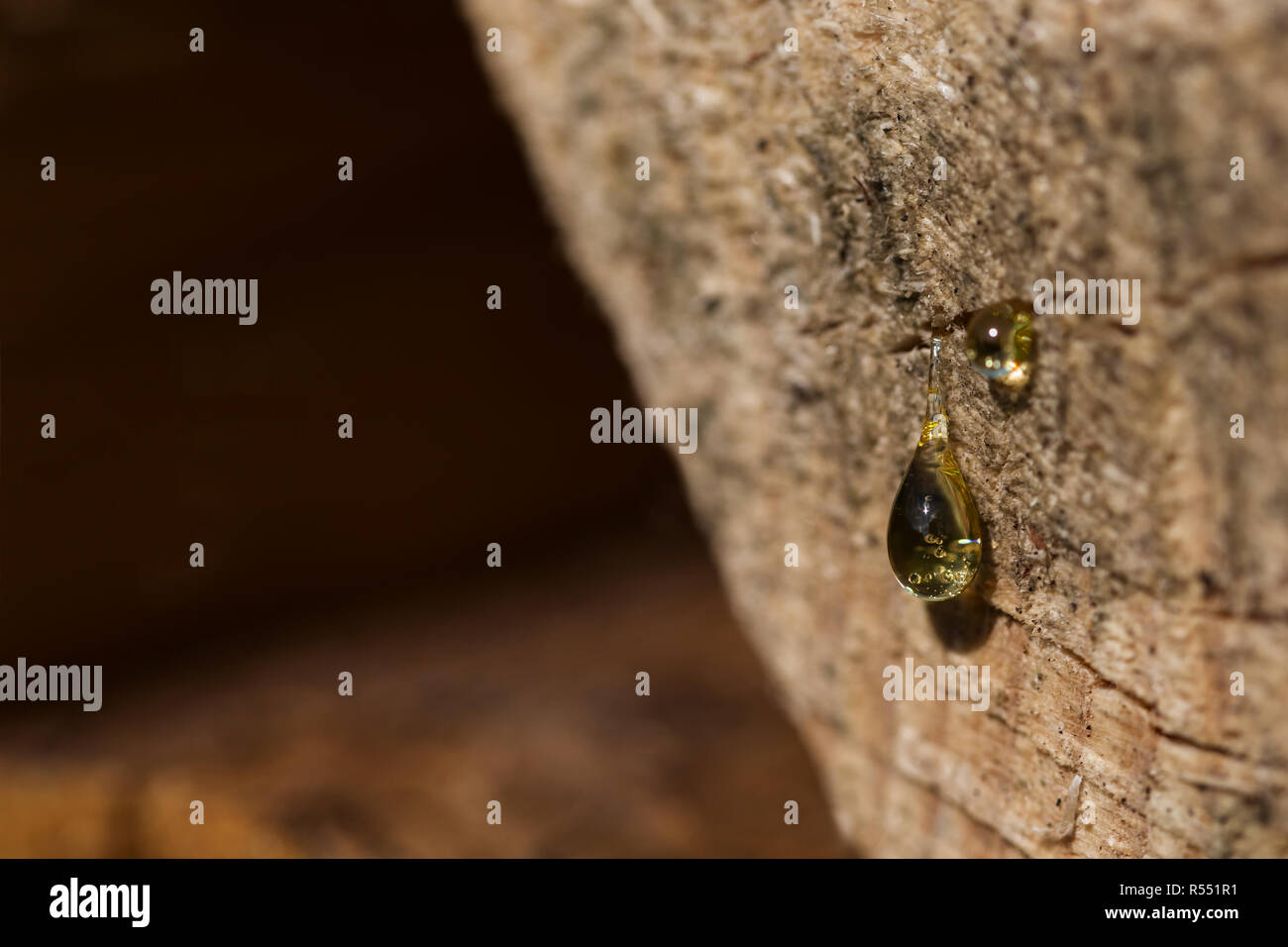 Wood stump with resin hi-res stock photography and images - Alamy