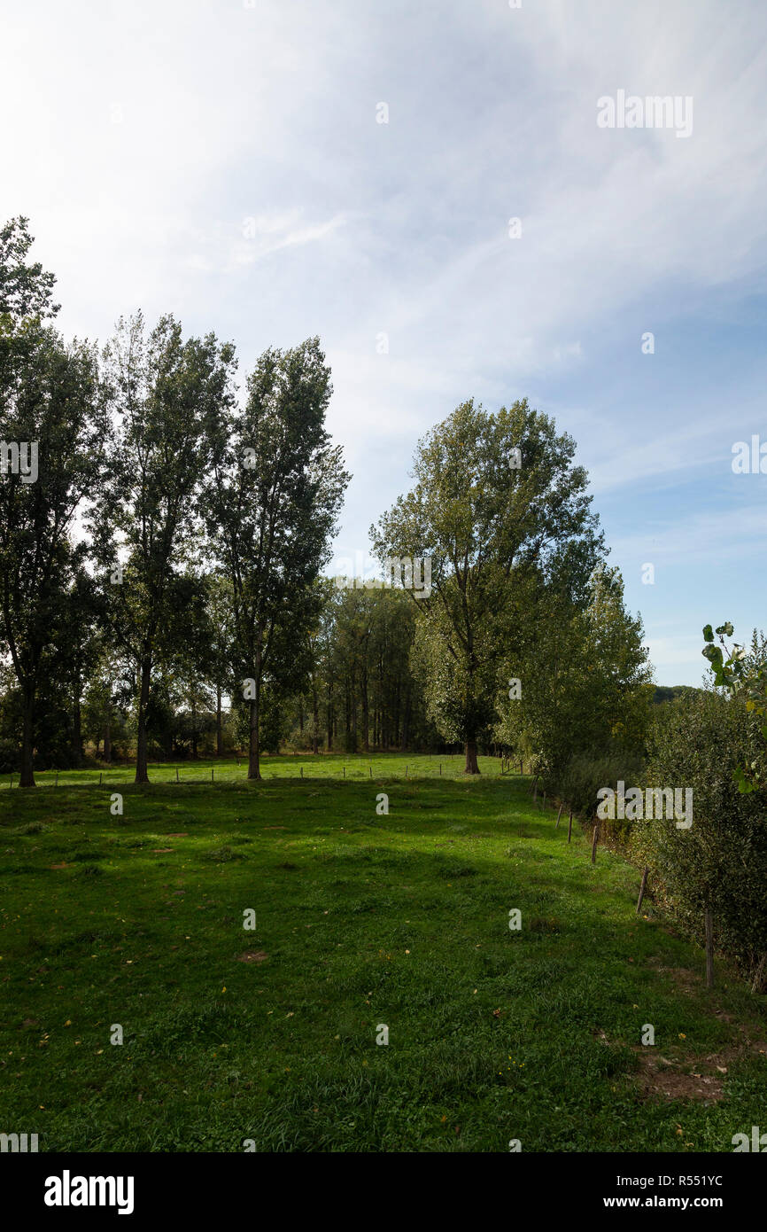 Typical landscape of foreland of small river Roer, Limburg, Netherlands ...
