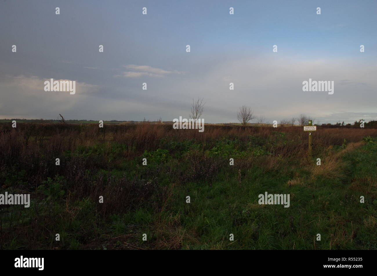 The Macmillan Way. Long-distance trail. England. UK Stock Photo - Alamy