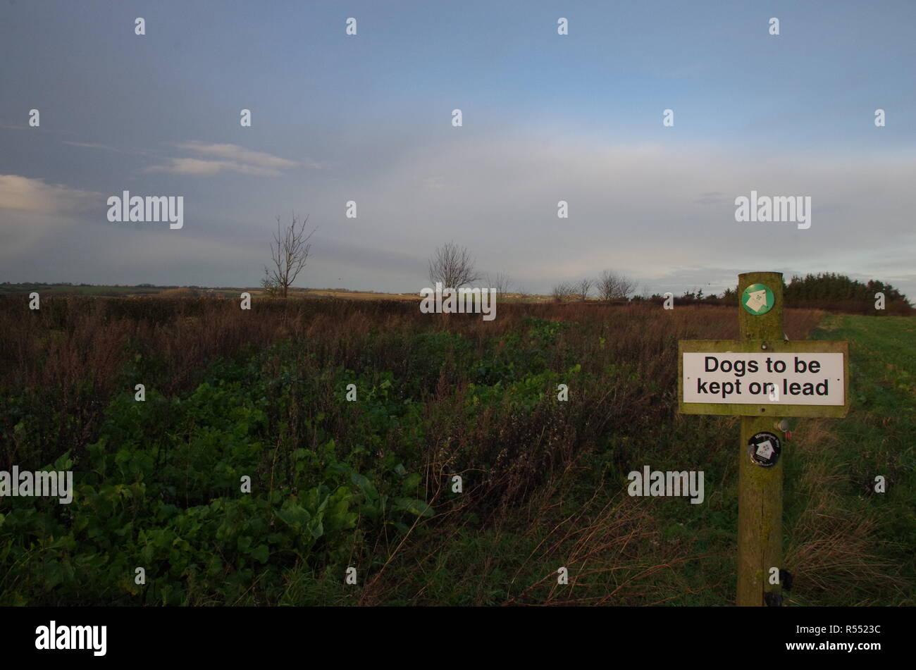 The Macmillan Way. Long-distance trail. England. UK Stock Photo - Alamy