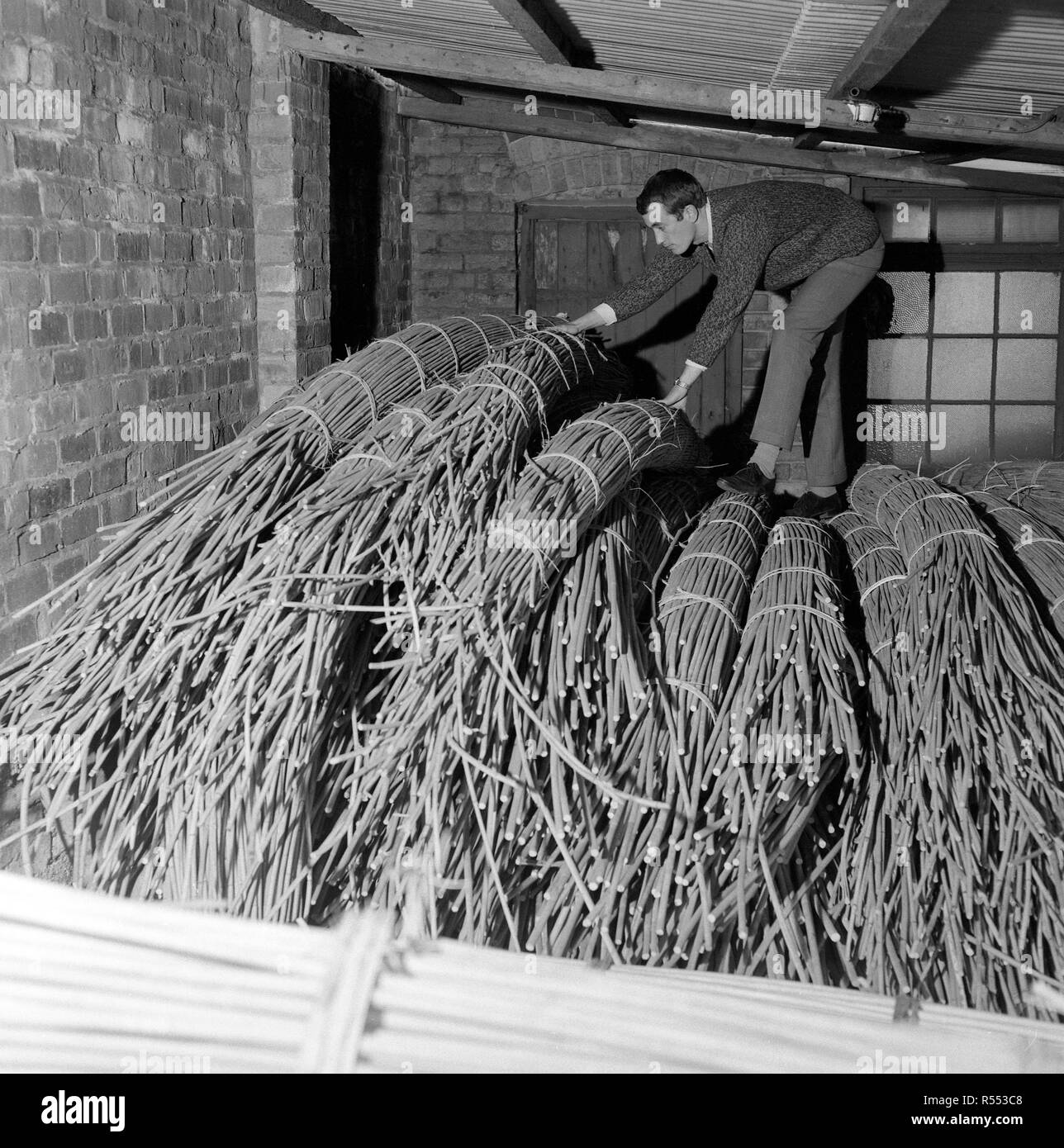 Alan Danks sorts canes while working as works manager at Edward Goddard ...